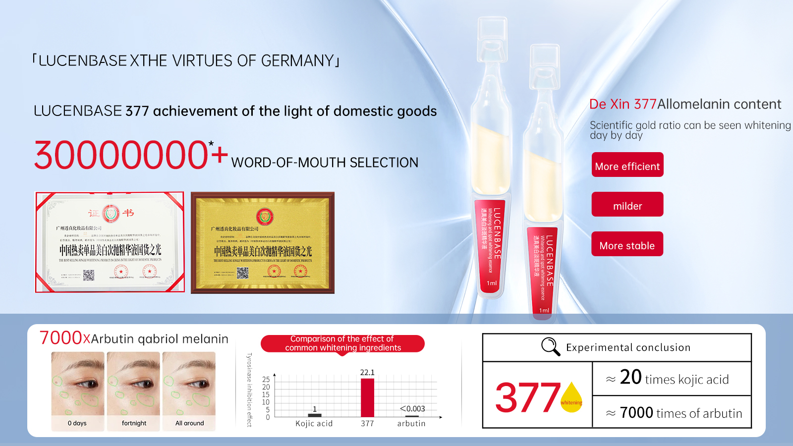 透真- L U C E N B A S E